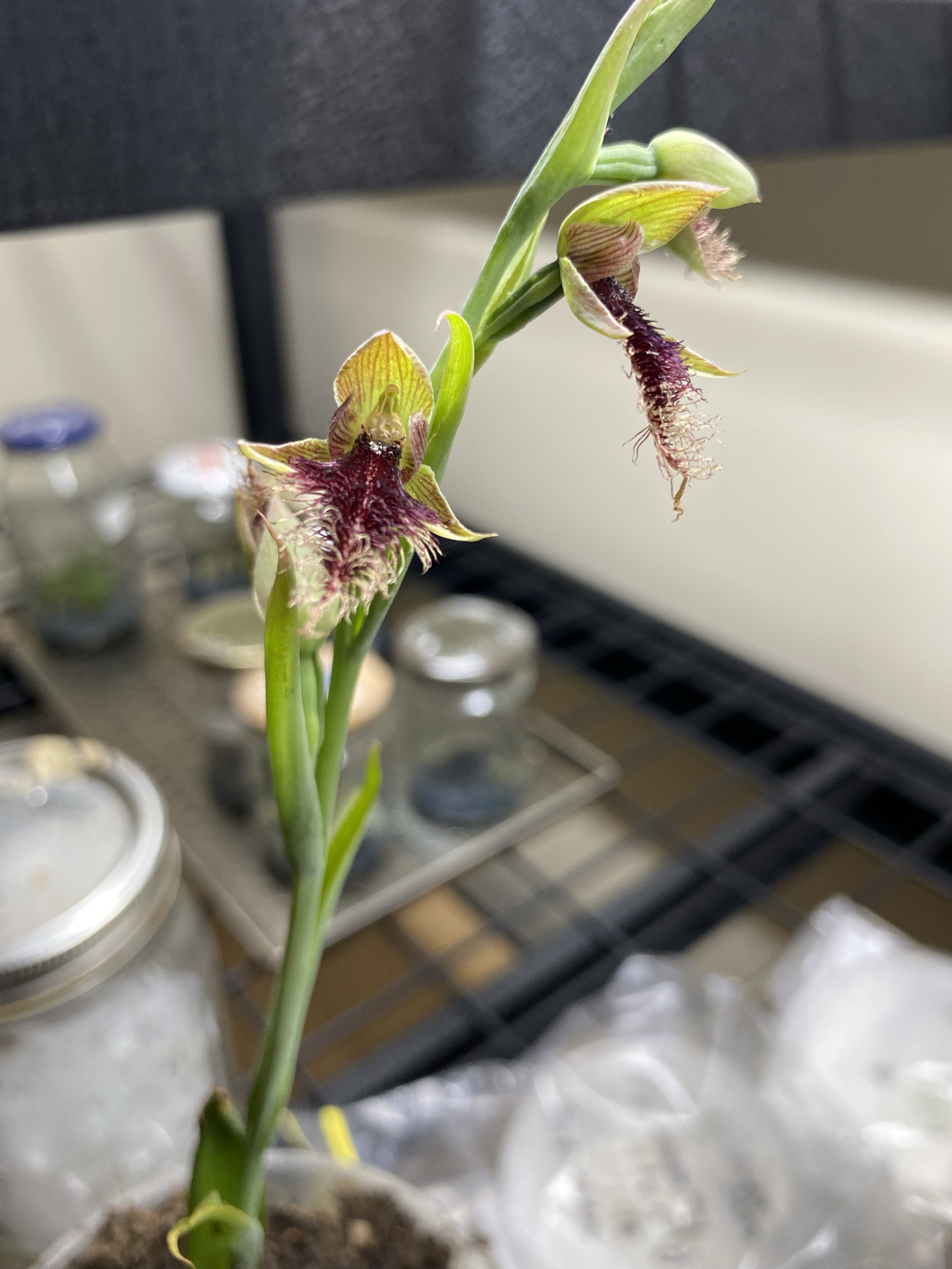Projects – Aceae Environmental